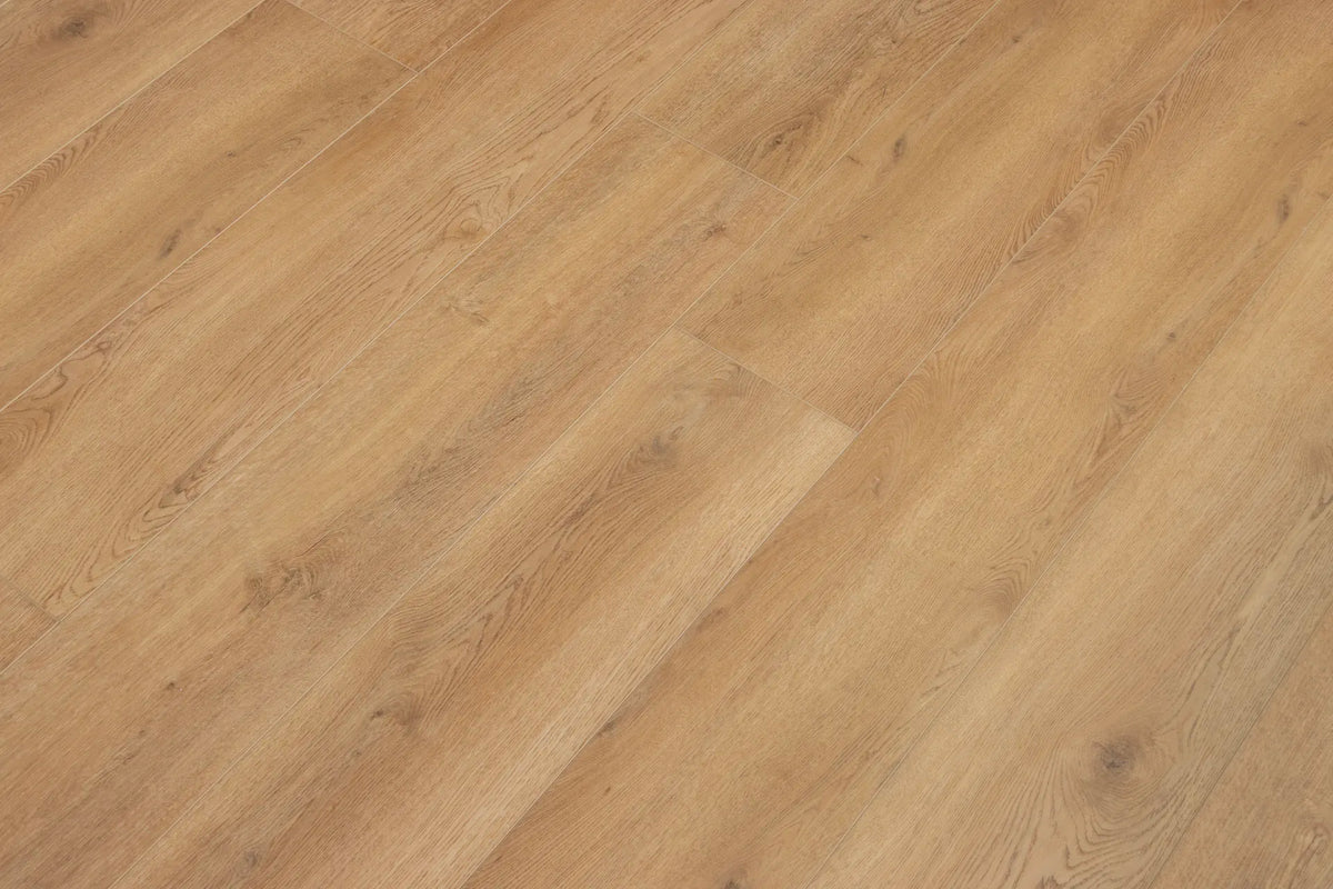 Cali Vinyl Legends Catamaran