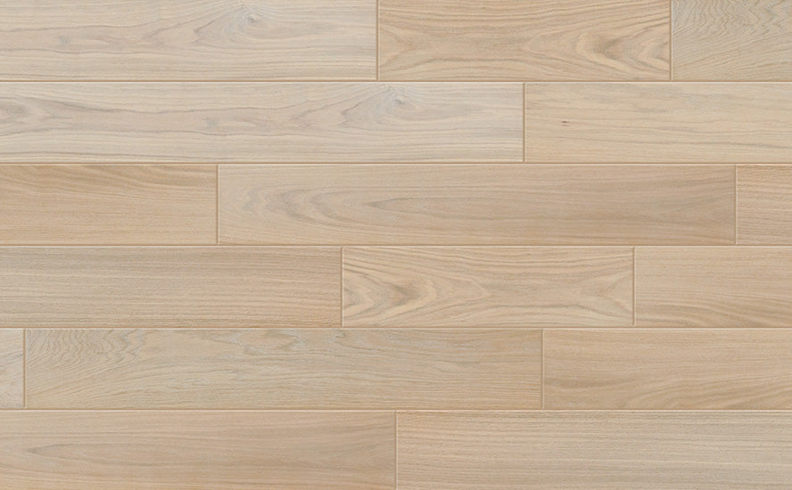 Johnson Oak Grove Shumard - Premium