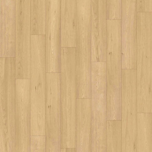 Chesapeake All American Premium Croft Oak Dark