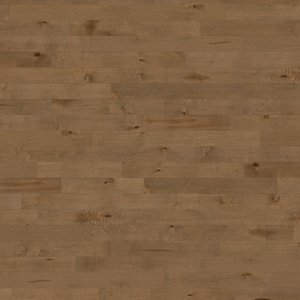 Mirage Autumn Maple Hayride