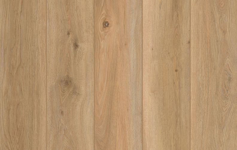 Lions Floor Vinyl Indoor Delight Shoreline Décor